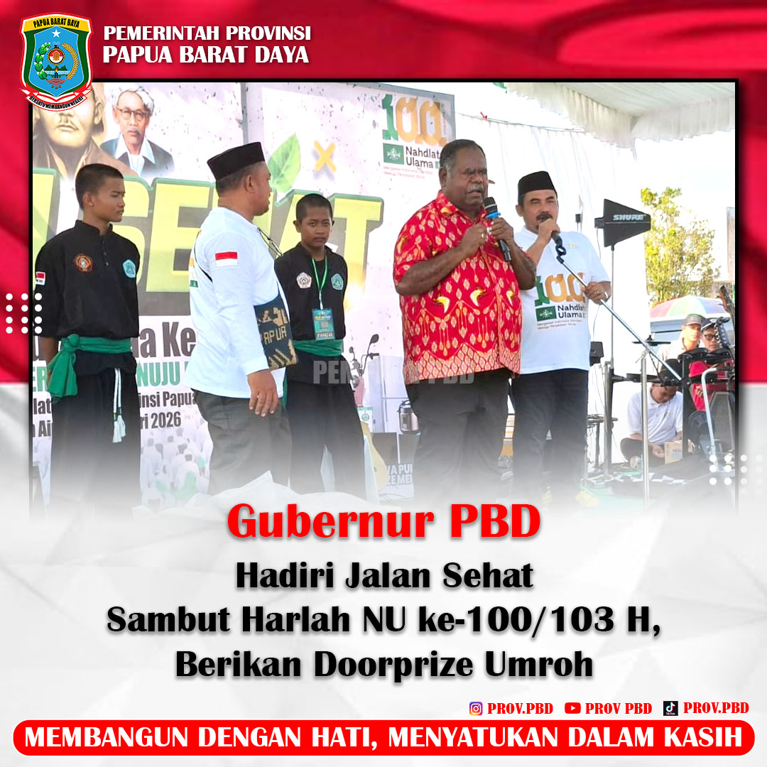 Pemerintah Provinsi Papua Barat Daya